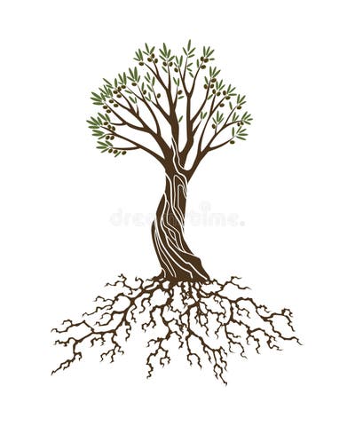 Evergreen Tree Roots Stock Illustrations – 2,612 Evergreen Tree Roots ...