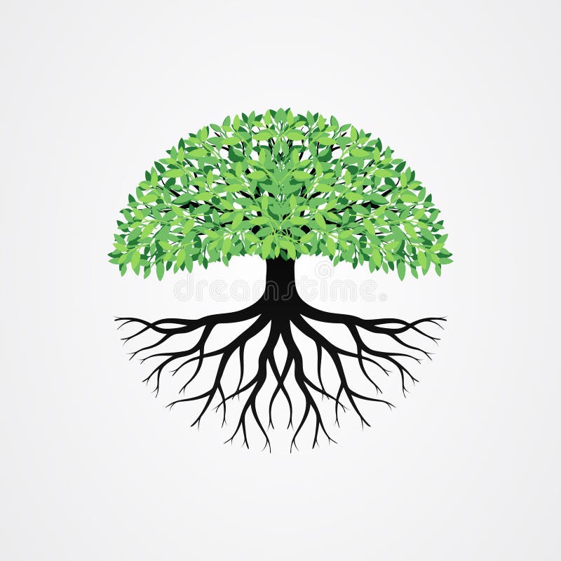 Abstract Tree with Roots and Green Leaves. Tree with Round Shape Vector ...