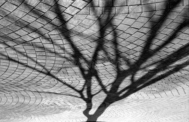 Abstract Shadow stock photo. Image of park, lines, line - 1033392