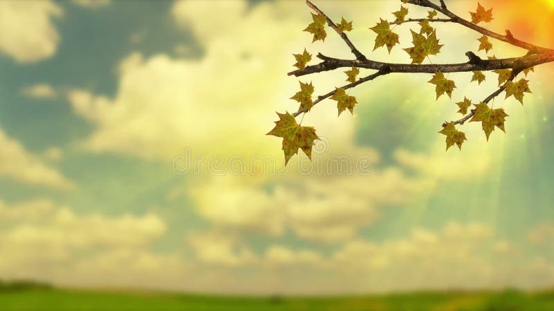 Abstract Tree of Life with Roots on Earth Planet. Place for Logo ...