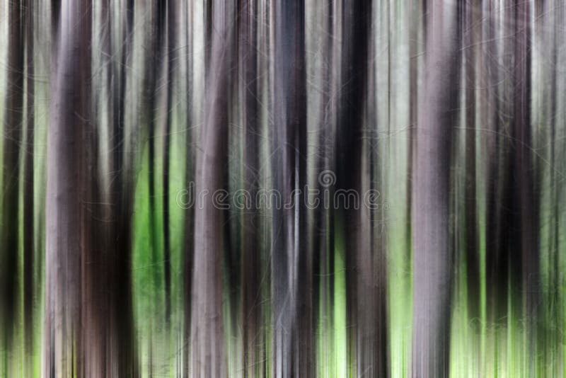 Abstract tree texture stock image. Image of graphic, blur - 34476485