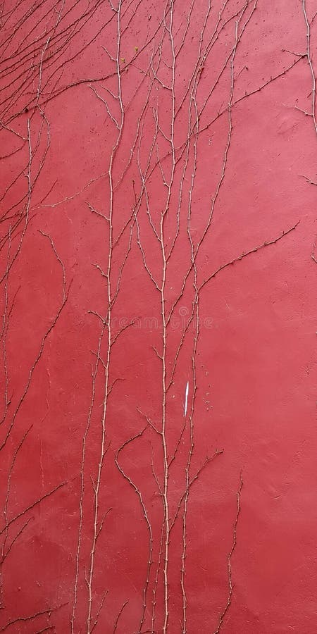 Abstract Tree Vein on Red Wall Background Stock Photo - Image of wall ...
