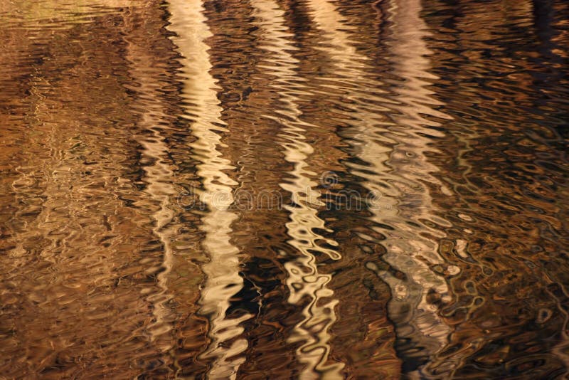 Abstract Trees Picture. Image: 344427