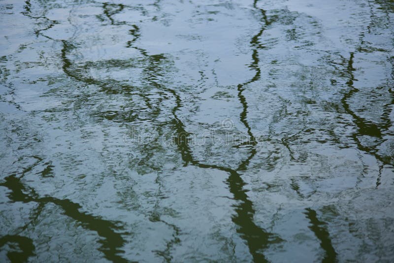 Abstract Trees Reflection on Rippled Water Surface Stock Photo - Image ...