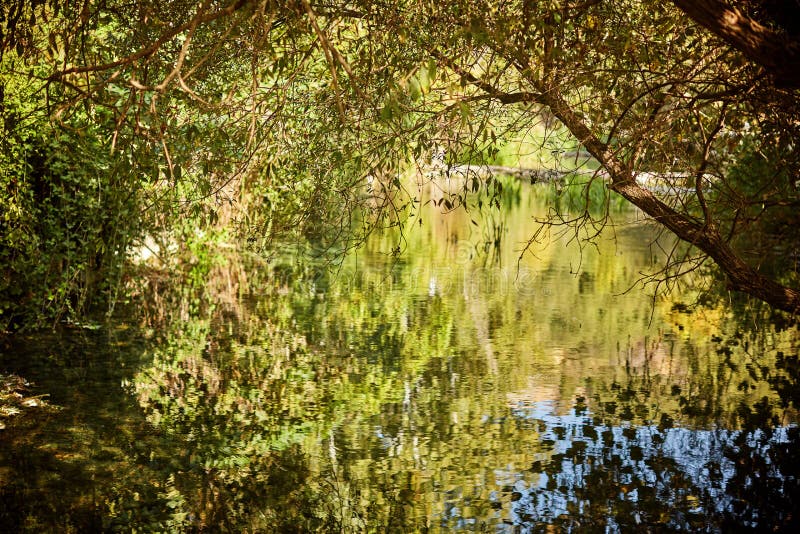 Trees Reflecting in River. Abstract Trees Reflection on Rippled Water ...
