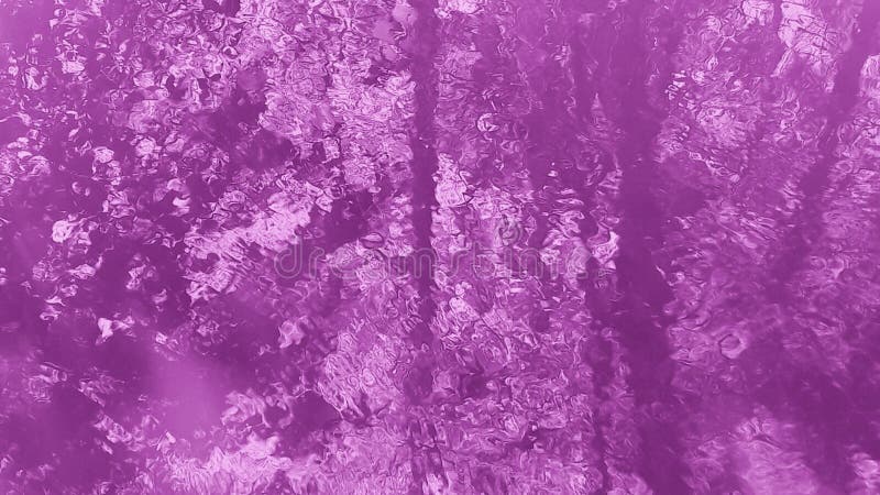 Abstract trees shadow stock image. Image of magenta - 248602009