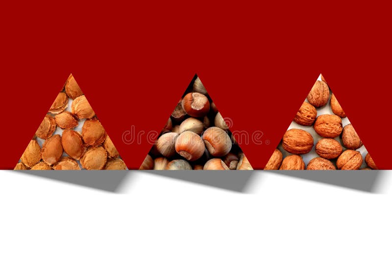 Abstract Triangles Full of Apricot Pits, Hazelnuts and Walnuts Textures ...