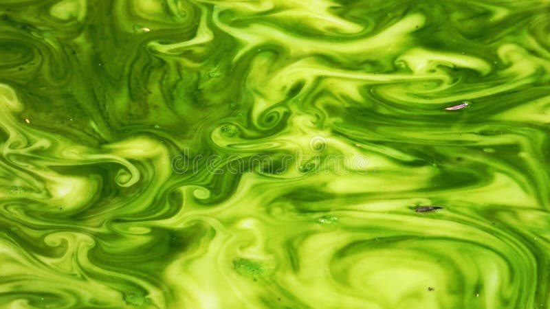 Abstract Turbid Green Water Background Stock Footage - Video of ocean ...