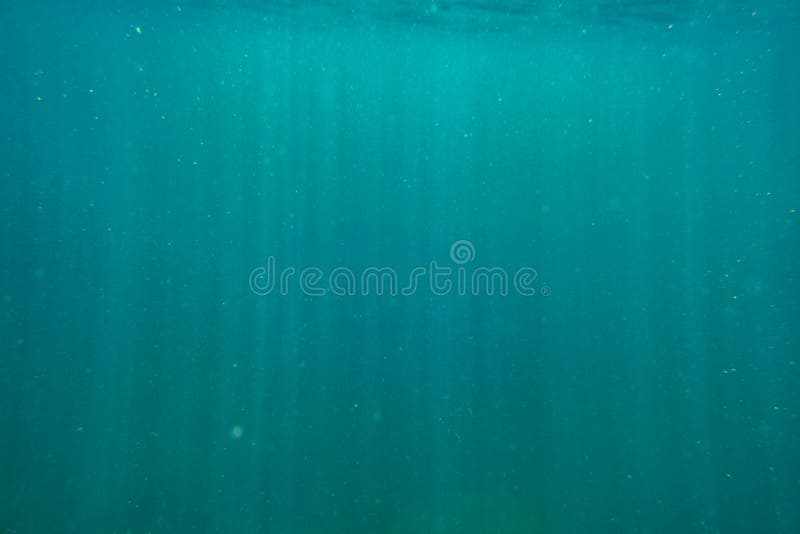 Marine Plankton or Microalgae Culture into a Test Tube in Laboratory ...