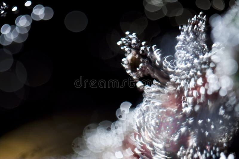 Abstract Underwater Shapes with Bubbles Stock Image - Image of circle ...