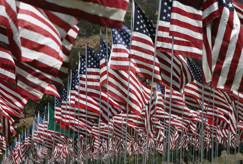 Multiple US flags stock photo. Image of united, veterans - 1589556