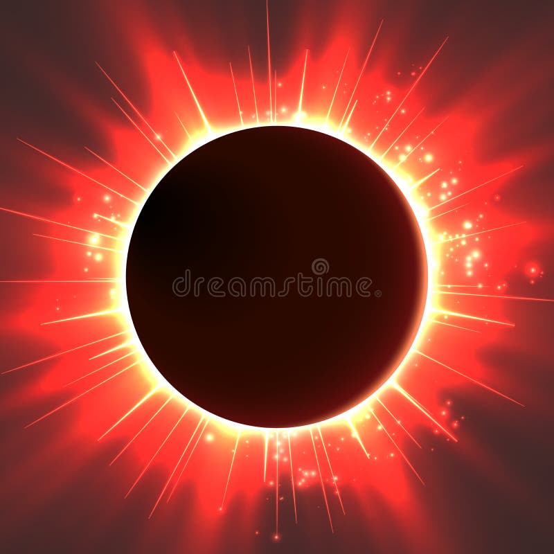 Phases of Growth of a Onion in the Garden. Growth, Development and ...