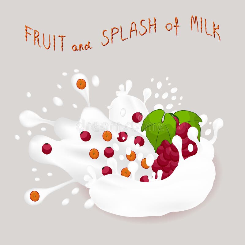 Grapes Milk Splashes Vector Stock Illustrations – 28 Grapes Milk ...