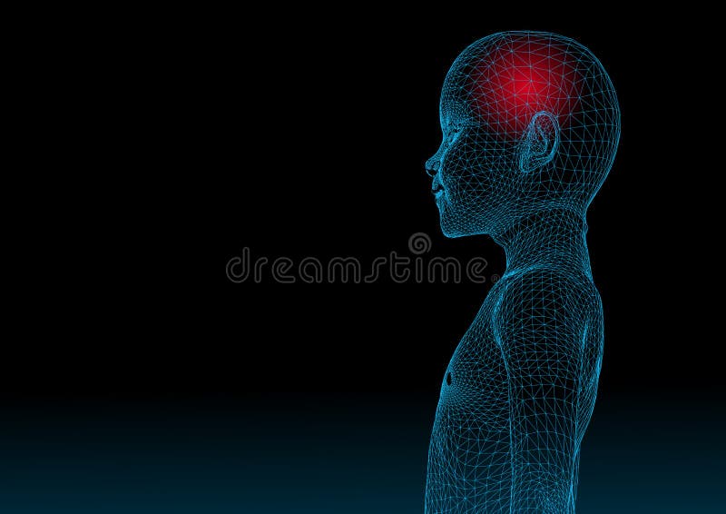Abstract Vector Illustration of Human Body on White Background Stock ...