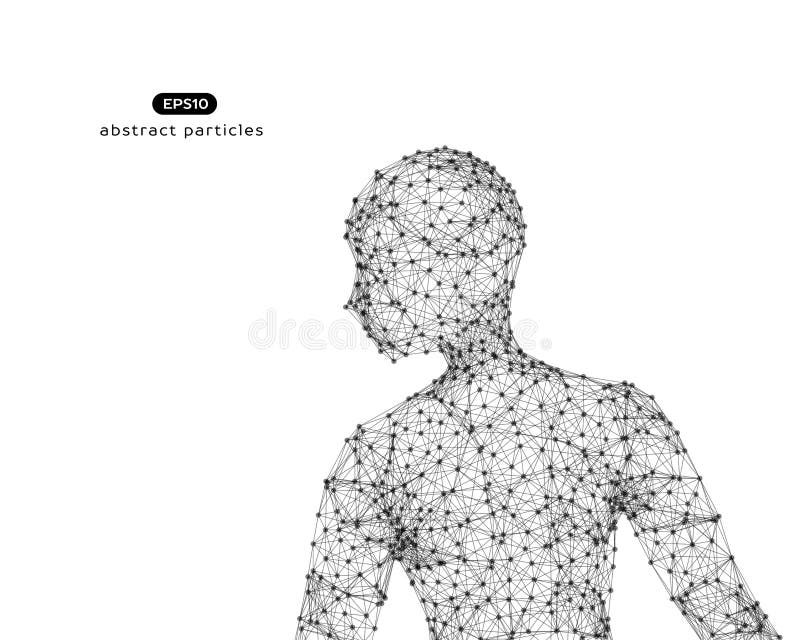 Abstract Vector Illustration of Human Bust. Stock Vector - Illustration ...
