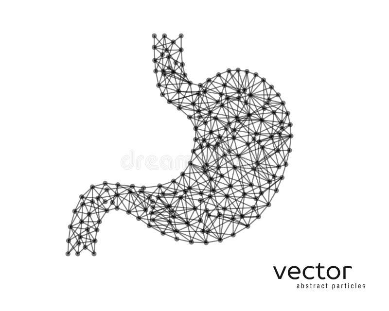Abstract Vector Illustration of Human Stomach. Stock Vector ...