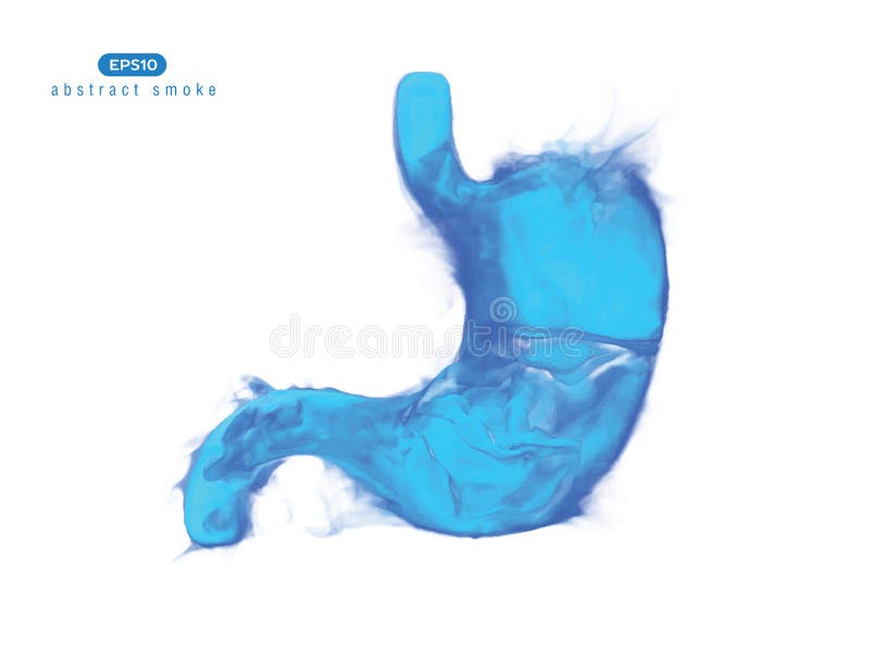 Abstract Stomach stock vector. Illustration of digestion - 39902195