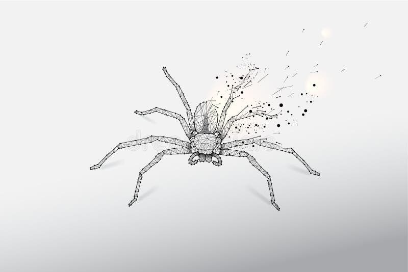 Abstract Vector Illustration of Spider Stock Vector - Illustration of ...