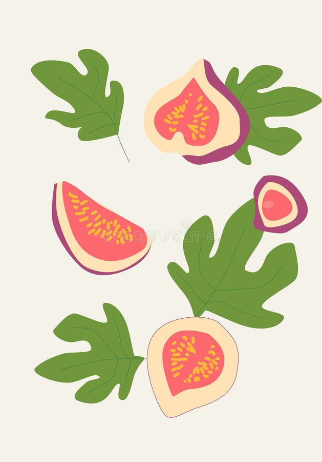 Abstract Vertical Fruit Fig Poster, Vector Flat Illustration Stock ...