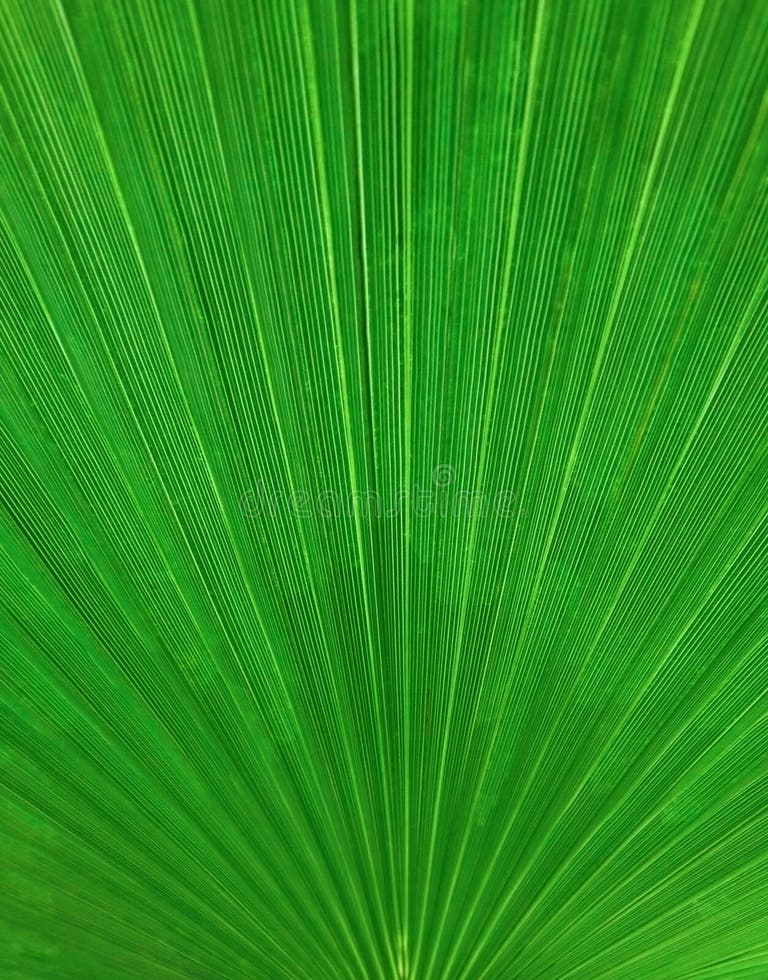 75,950 Clean Vertical Background Stock Photos - Free & Royalty-Free ...