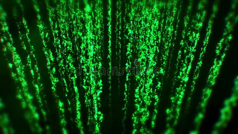 Abstract Vertical Perspective Green Shiny Blurry Focus Turbulence ... Abstract Vertical Perspective Green Shiny Blurry Focus Turbulence ...