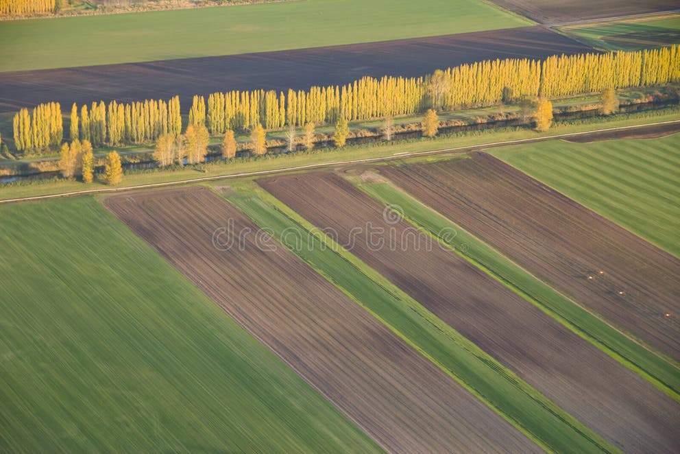 Abstract View of Agricultural Fields and Tree Line Stock Image - Image ...
