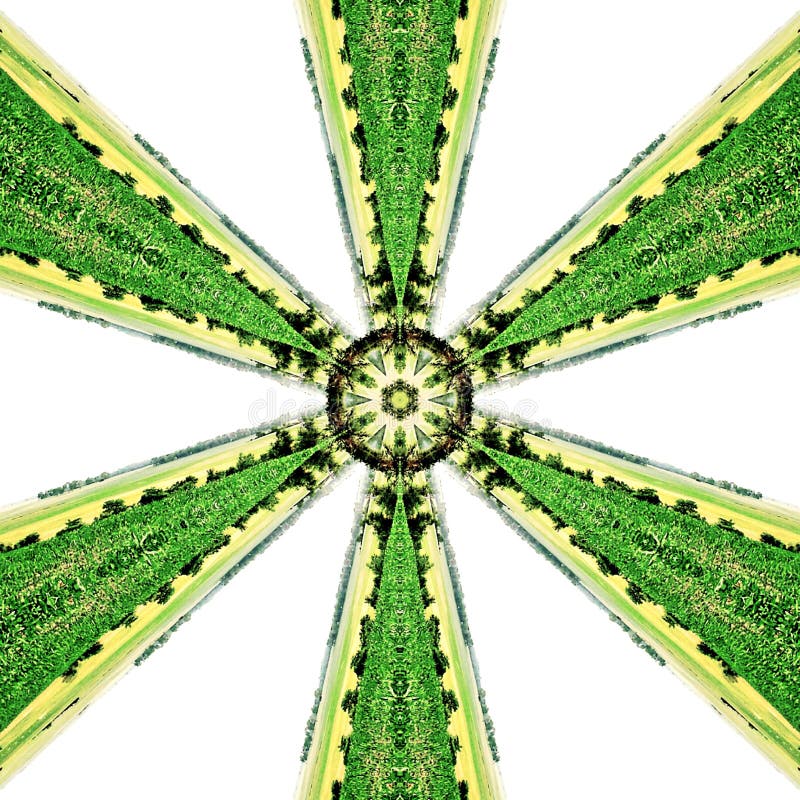 Abstract View of Corn Field Stock Image - Image of green, blade: 119578385