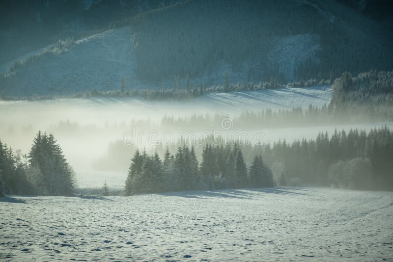 Abstract View Created by Cold Temperature and Mist Stock Photo - Image ...