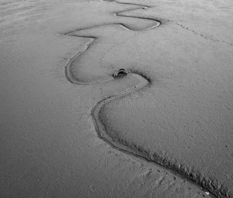 Abstract View of Deep Mud Seen at the Side of a Tidal Estuary, Seen ...