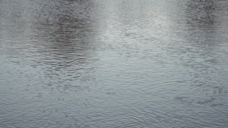 Abstract View of Rippling Water Surface with Textured Wavelets Stock ...