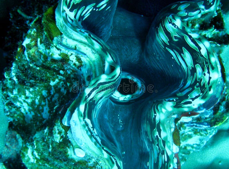 Abstract view under water stock image. Image of egypt - 3864021