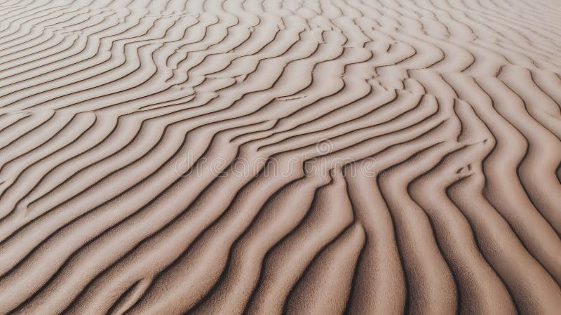 Mesmerizing Patterns of Wind-swept Desert Sand Dunes Stock Illustration ...