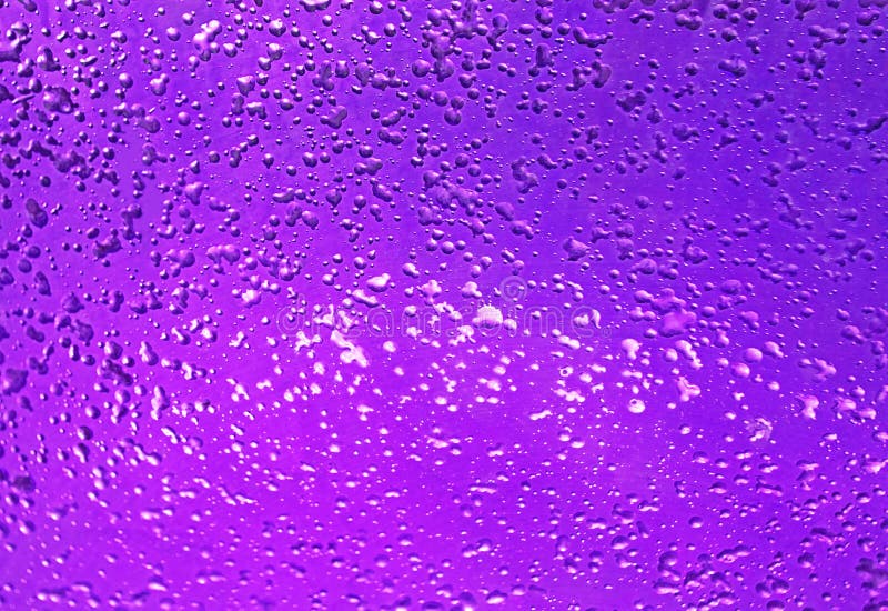 Violet drop stock image. Image of biotanical, seated, biology - 8082489