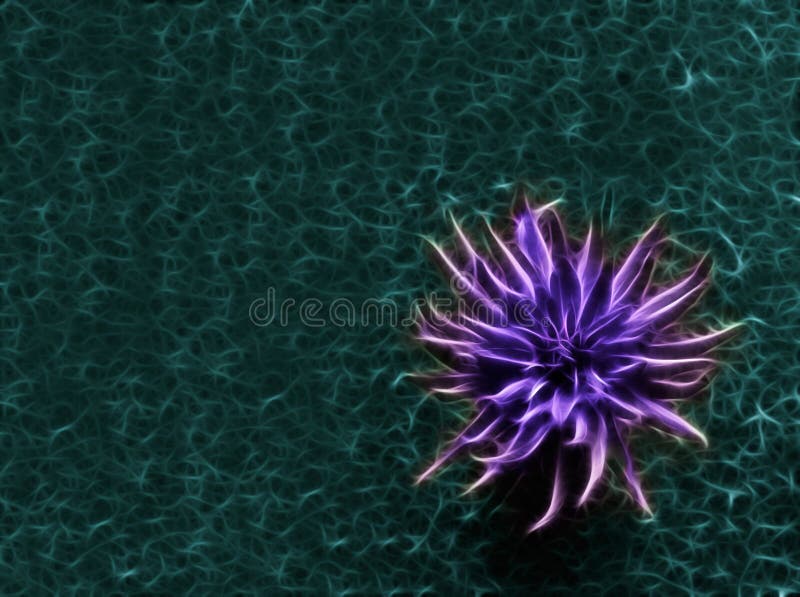 Abstract Violet Flower at Blue Background Stock Illustration ...