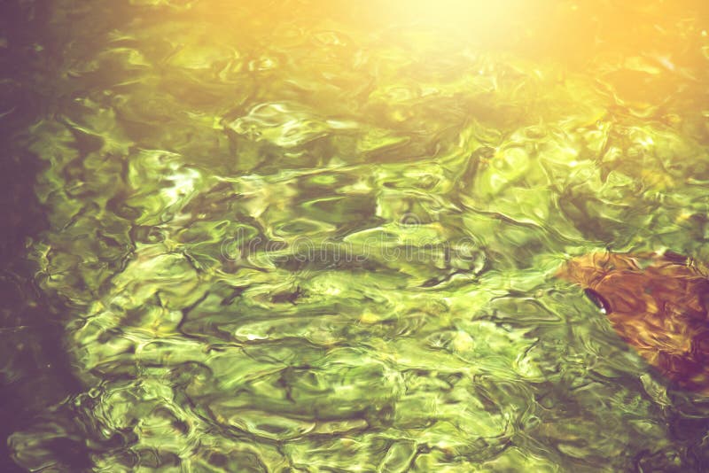 Blurred Green Colour Stream of Water for Abstract Backgroind Stock ...