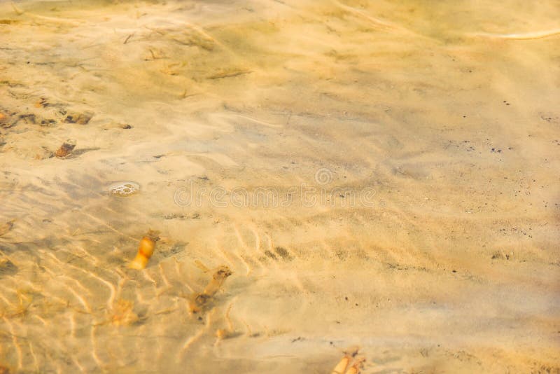 Abstract Water Background .Vintage Water Bokeh Background. Water ...