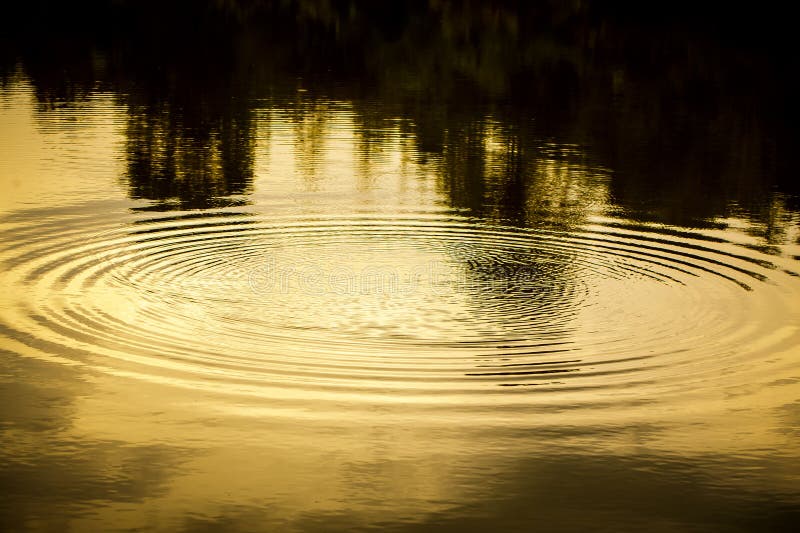 Abstract Water Concentric Radial Wave for Backdrop. Droplet Drops on ...
