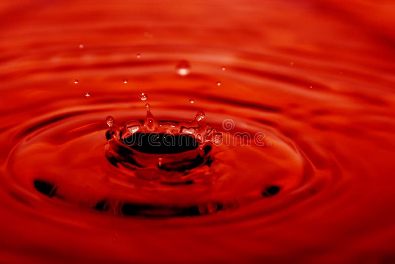 Abstract Water drop stock photo. Image of macro, drip - 2619436