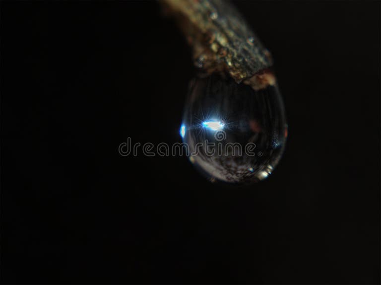 Abstract Water Drop with Reflection on Branch End Stock Image - Image ...