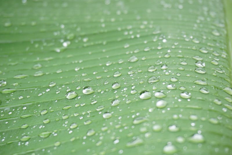 Water drop shape stock image. Image of raindrop, reflection - 111896561