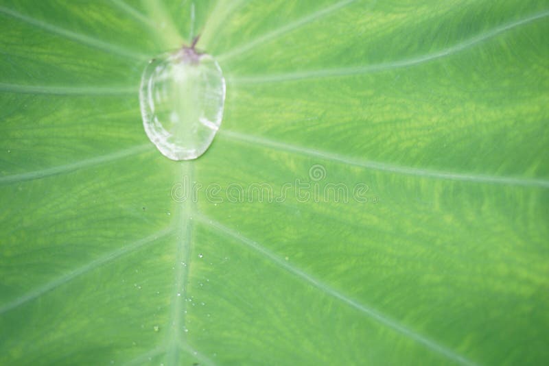 Water drop shape stock image. Image of shape, raindrop - 111896821