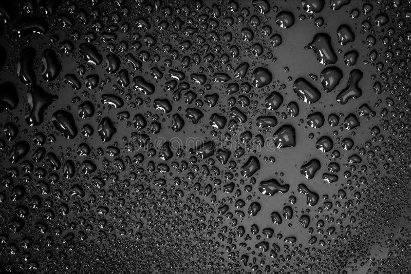 The Abstract Water Drop on Surface of Fresh Black Background Stock ...