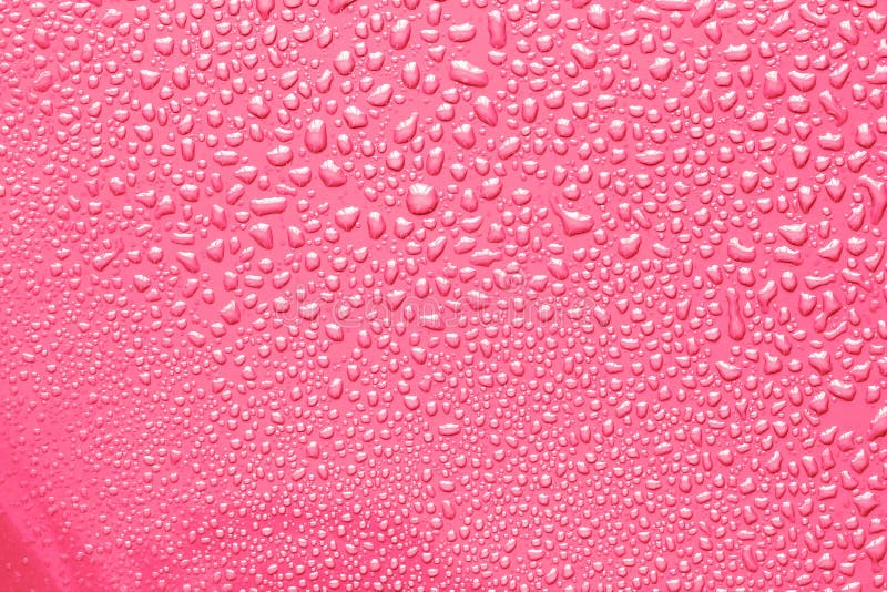The Abstract Water Drop on Surface of Fresh Pink Background Stock Photo ...