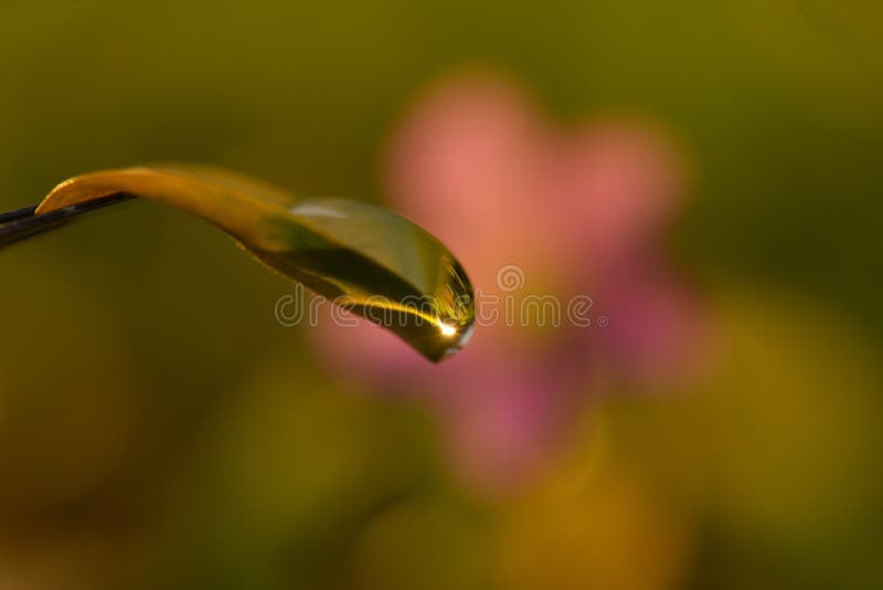 Abstract Water drop tear stock image. Image of holiday - 180111827