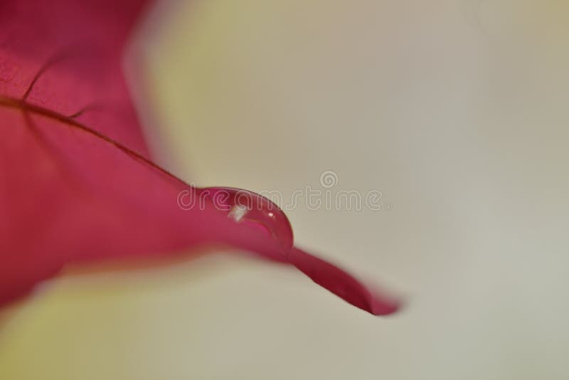 Abstract Water drop tear stock image. Image of drop - 180111615