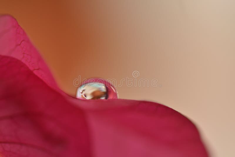 Abstract Water drop tear stock photo. Image of leaves - 180111658