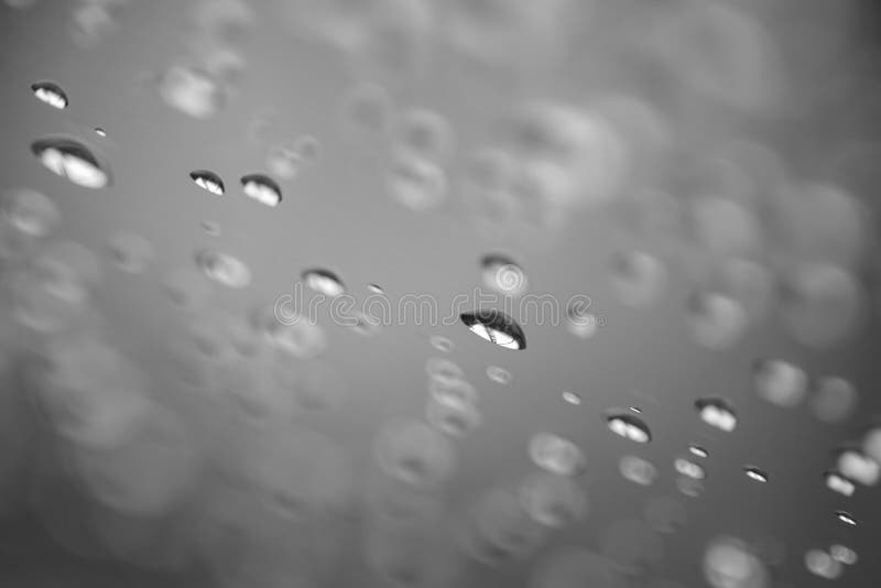 Abstract Water Drops on Plain Background Stock Image - Image of nature ...