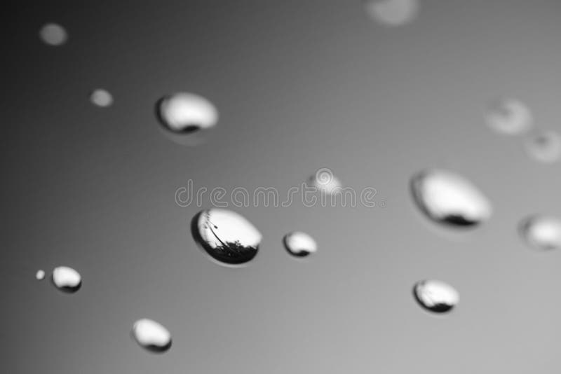 Abstract Water Drops on Plain Background Stock Image - Image of field ...