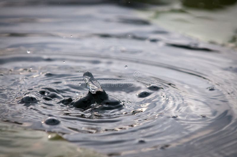 Abstract Of Water Drops And Ripples Stock Image Image Of Reflection Ripple 70455571