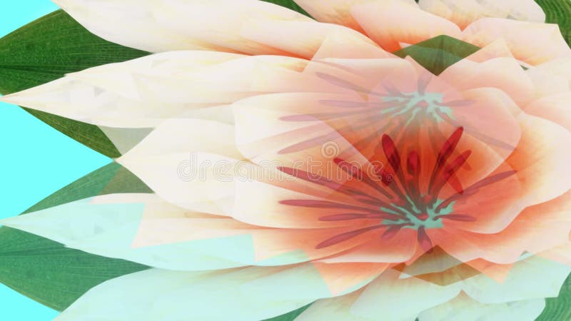 Abstract Water Lilly Flower Digital Stock Footage - Video of flower ...